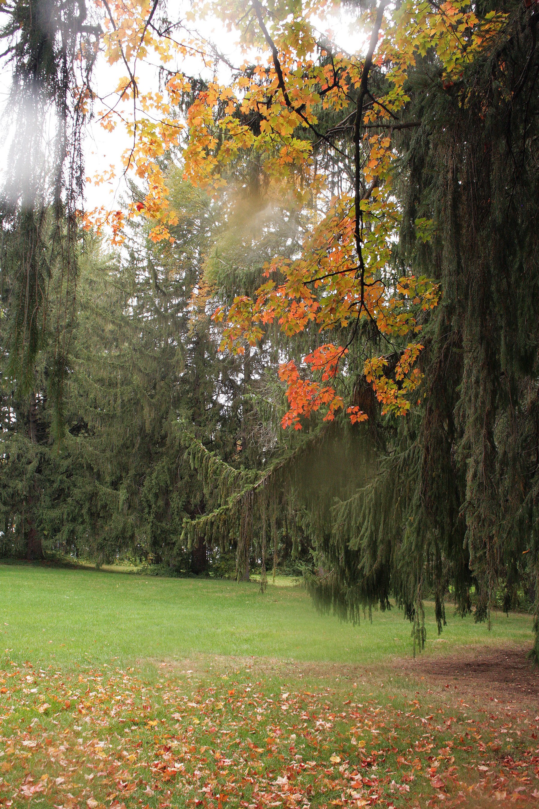 Cemetery Road Trip: Visiting Asylum Point Cemetery – Cemetery ...