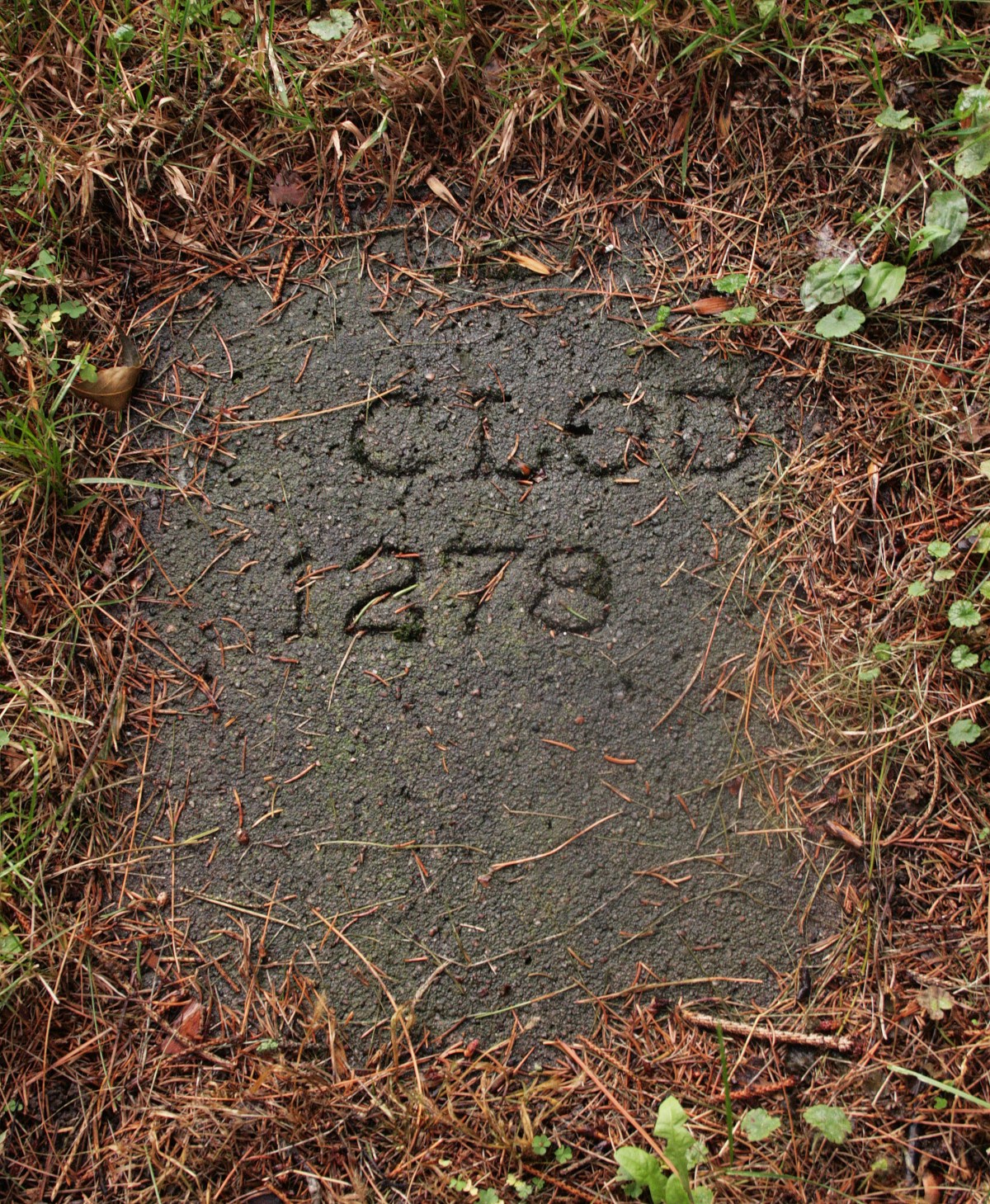 Cemetery Road Trip: Visiting Asylum Point Cemetery – Cemetery ...