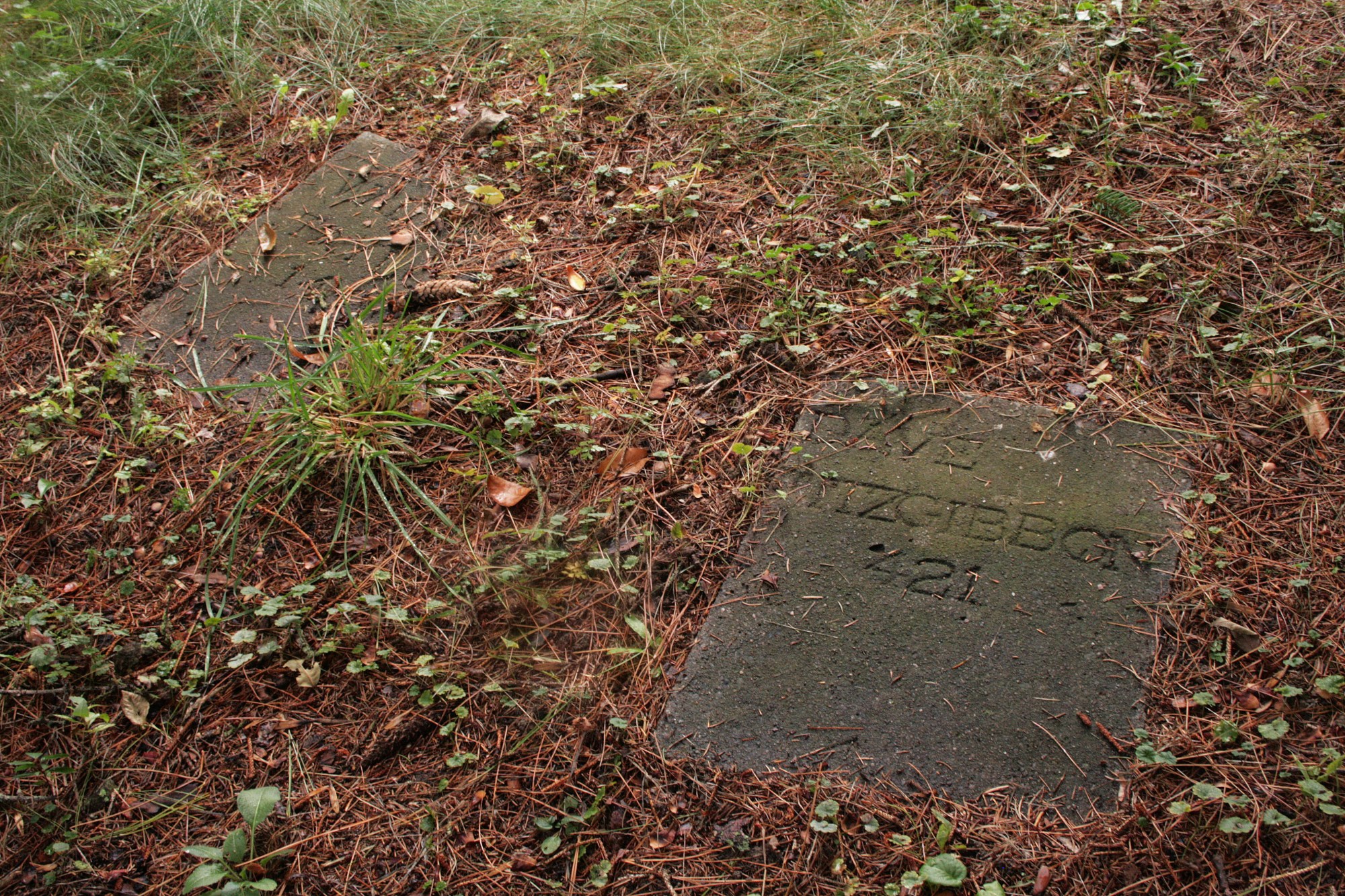 Cemetery Road Trip: Visiting Asylum Point Cemetery – Cemetery ...