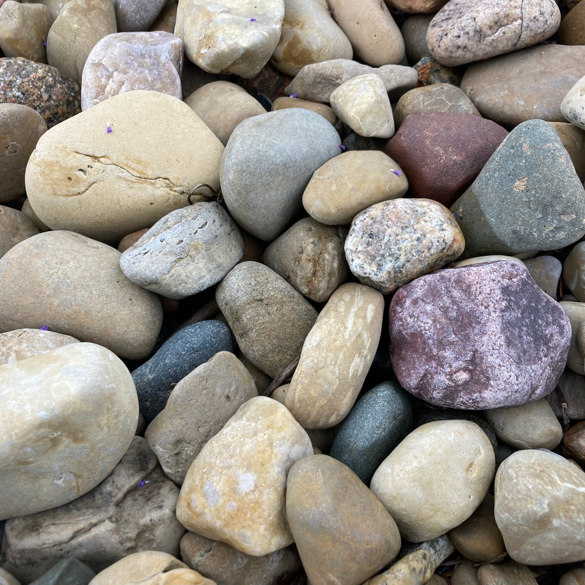 Cemetery Road Trip: Visiting Historic Fort St. Joseph Cemetery ...