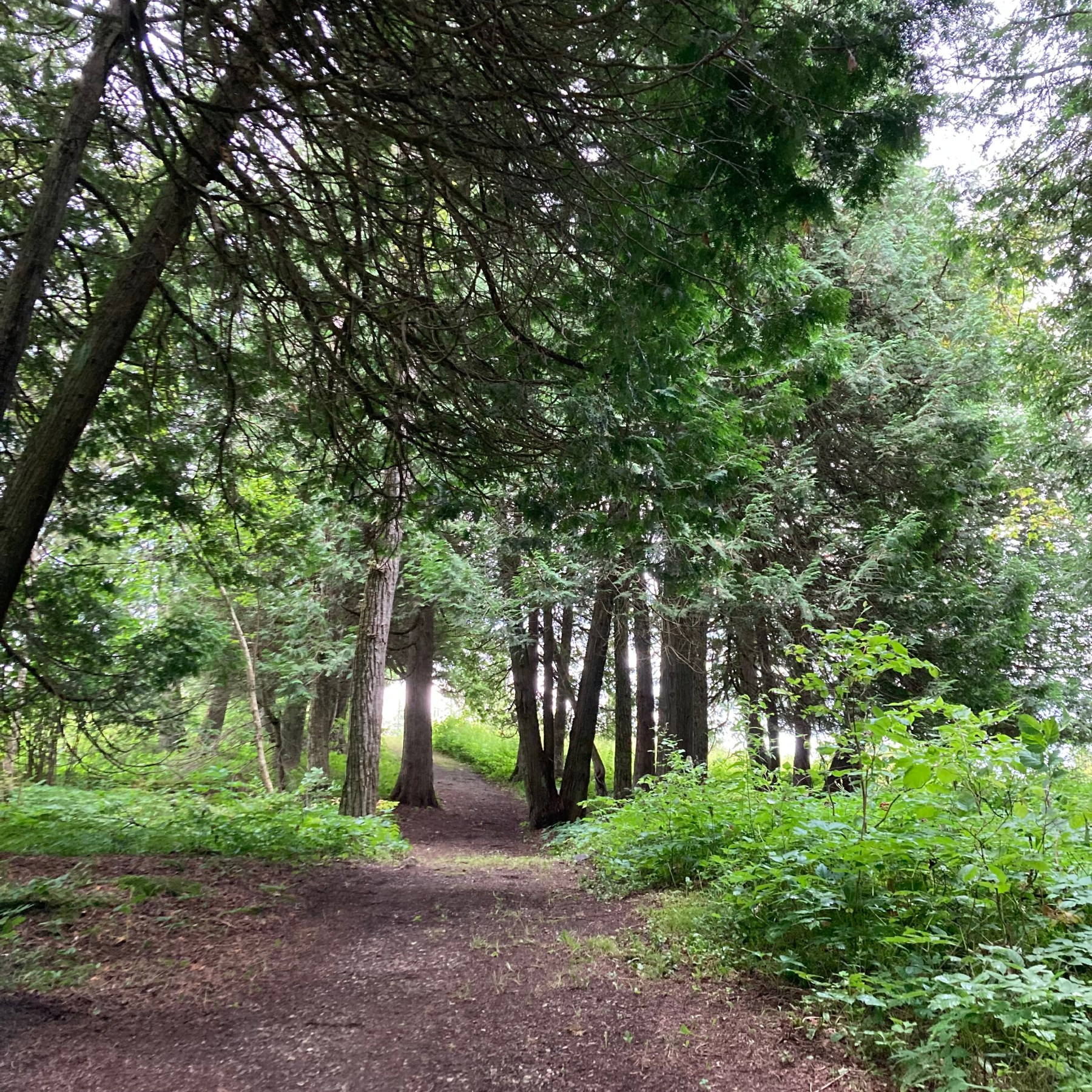 Cemetery Road Trip: Visiting Historic Fort St. Joseph Cemetery ...