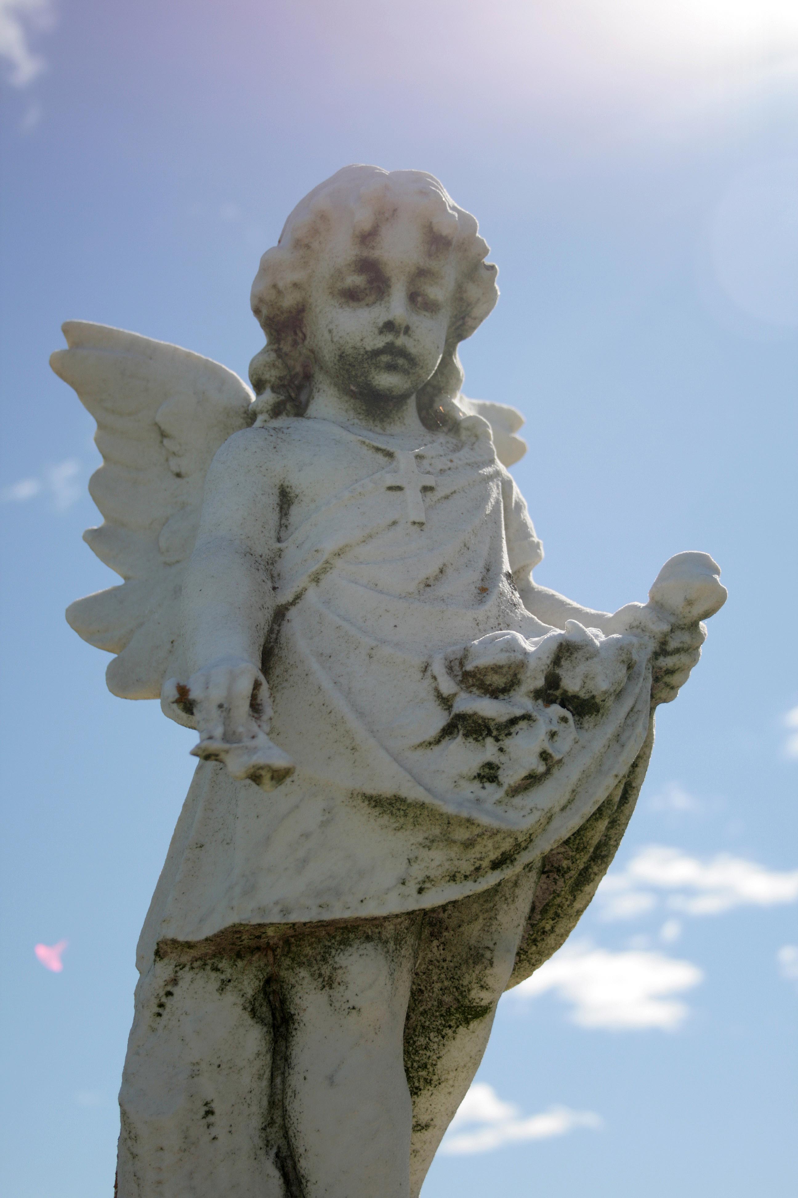 A Collection of Cemetery Statues – Cemetery Photography by Chantal ...