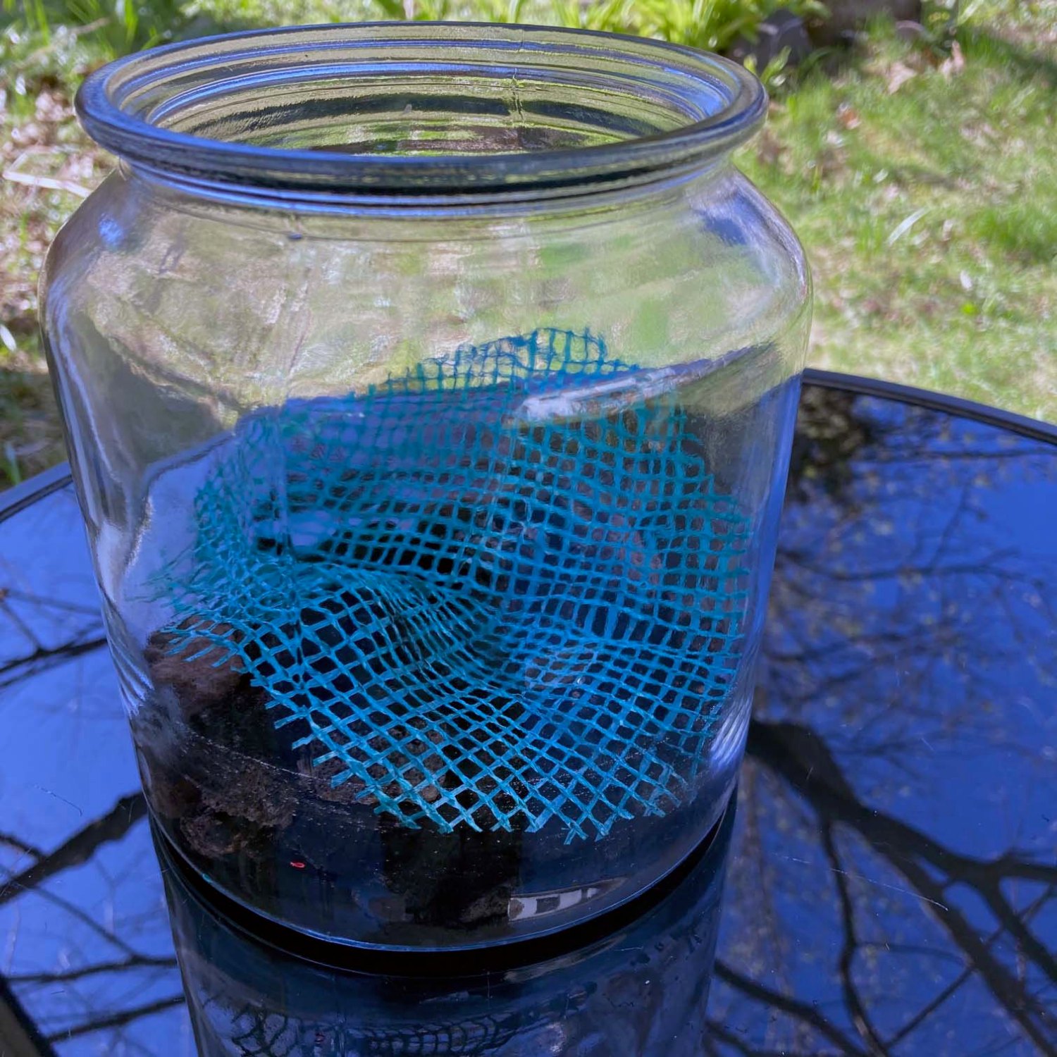 Celebrate with a Cemetery Terrarium – Cemetery Photography by Chantal ...