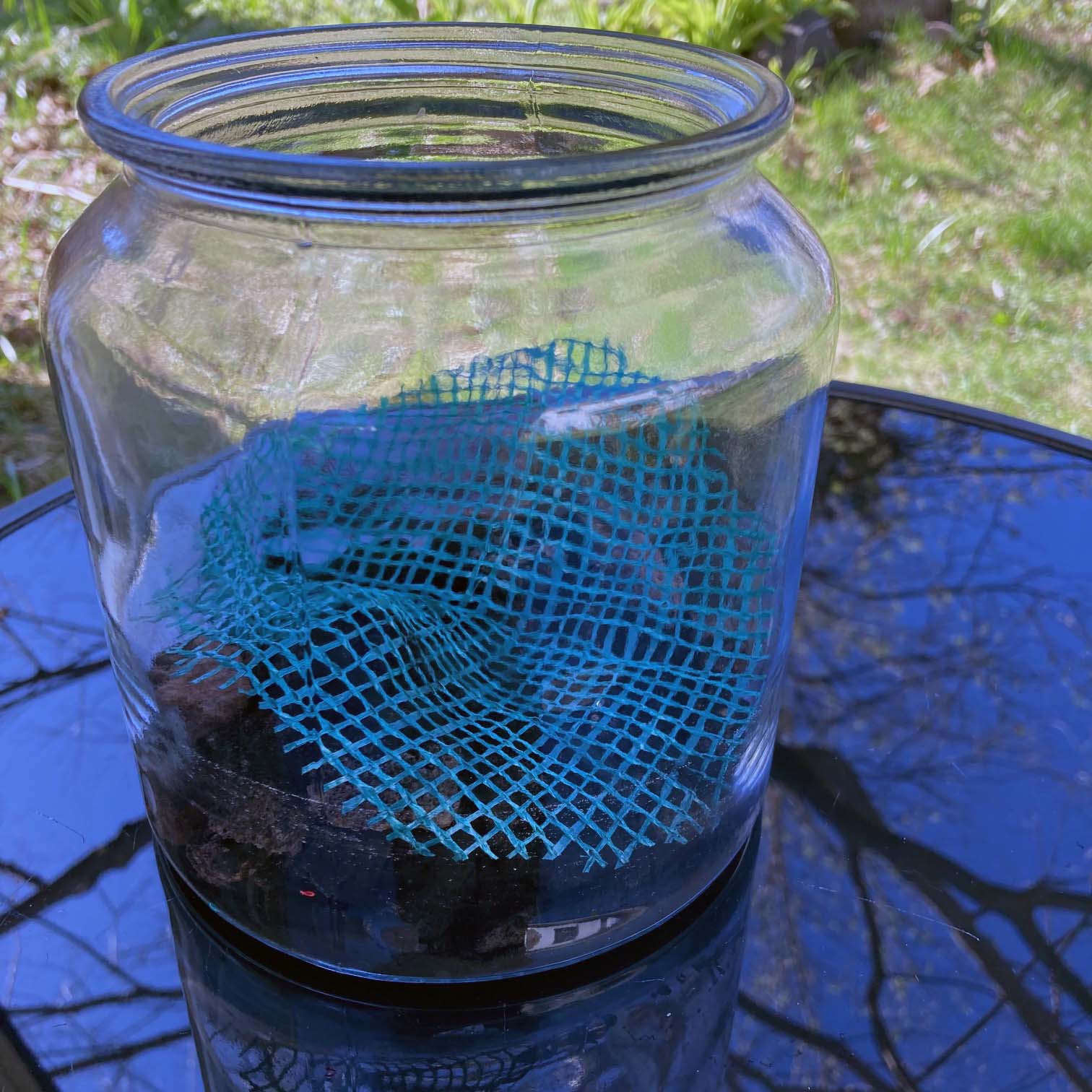 Celebrate with a Cemetery Terrarium – Cemetery Photography by Chantal ...