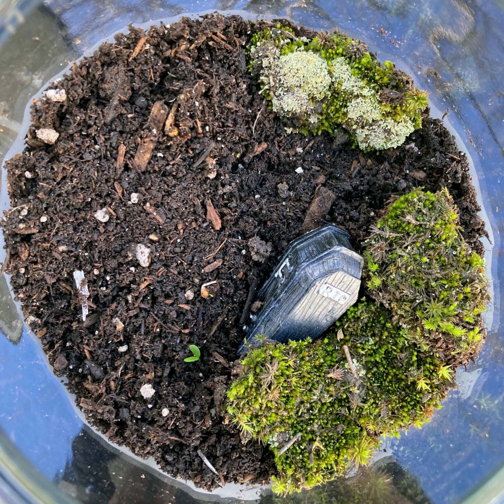 Celebrate with a Cemetery Terrarium – Cemetery Photography by Chantal ...