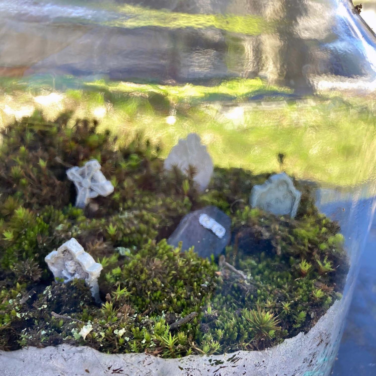 Celebrate with a Cemetery Terrarium – Cemetery Photography by Chantal ...