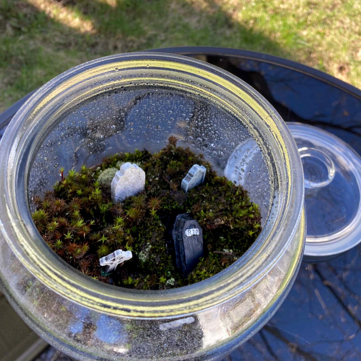 Celebrate with a Cemetery Terrarium – Cemetery Photography by Chantal ...