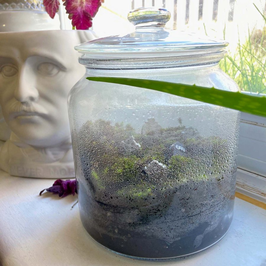 Celebrate with a Cemetery Terrarium – Cemetery Photography by Chantal ...
