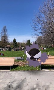 Pokémon GO: Are Gamers still Haunting Cemetery Grounds? – Cemetery ...