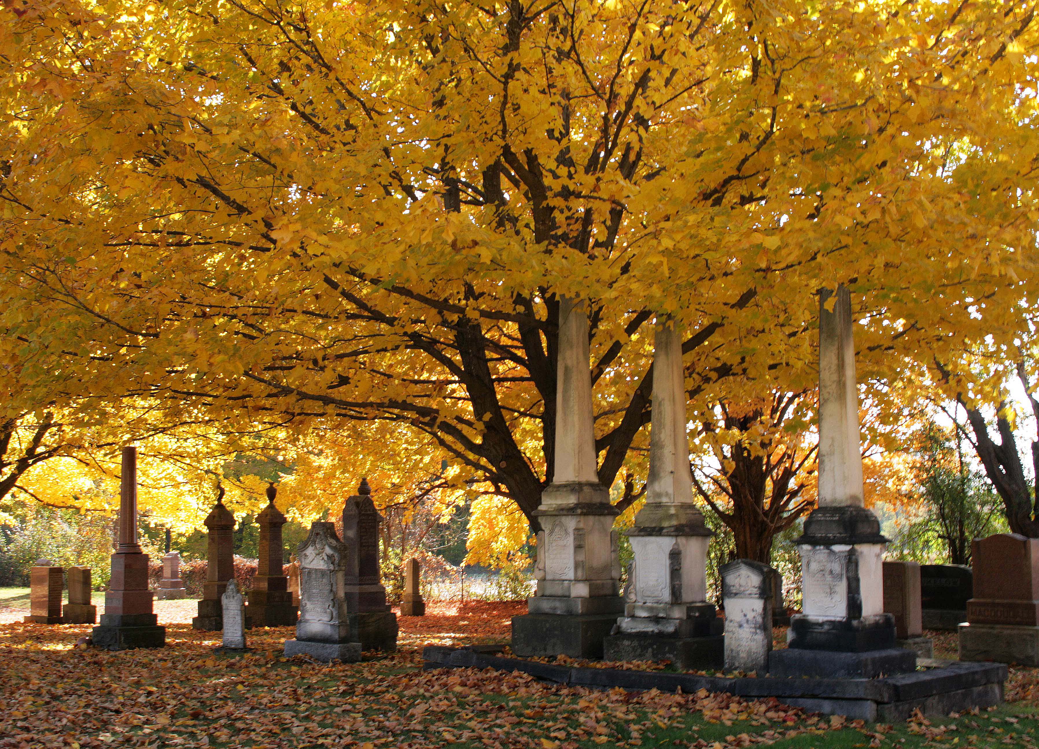Why I Love Cemeteries: Exploring Beauty and History – Cemetery ...